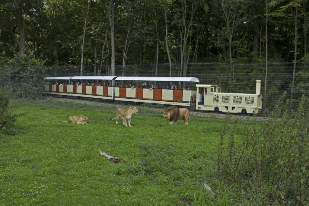Safari Train - Lumigny Safari Reserve